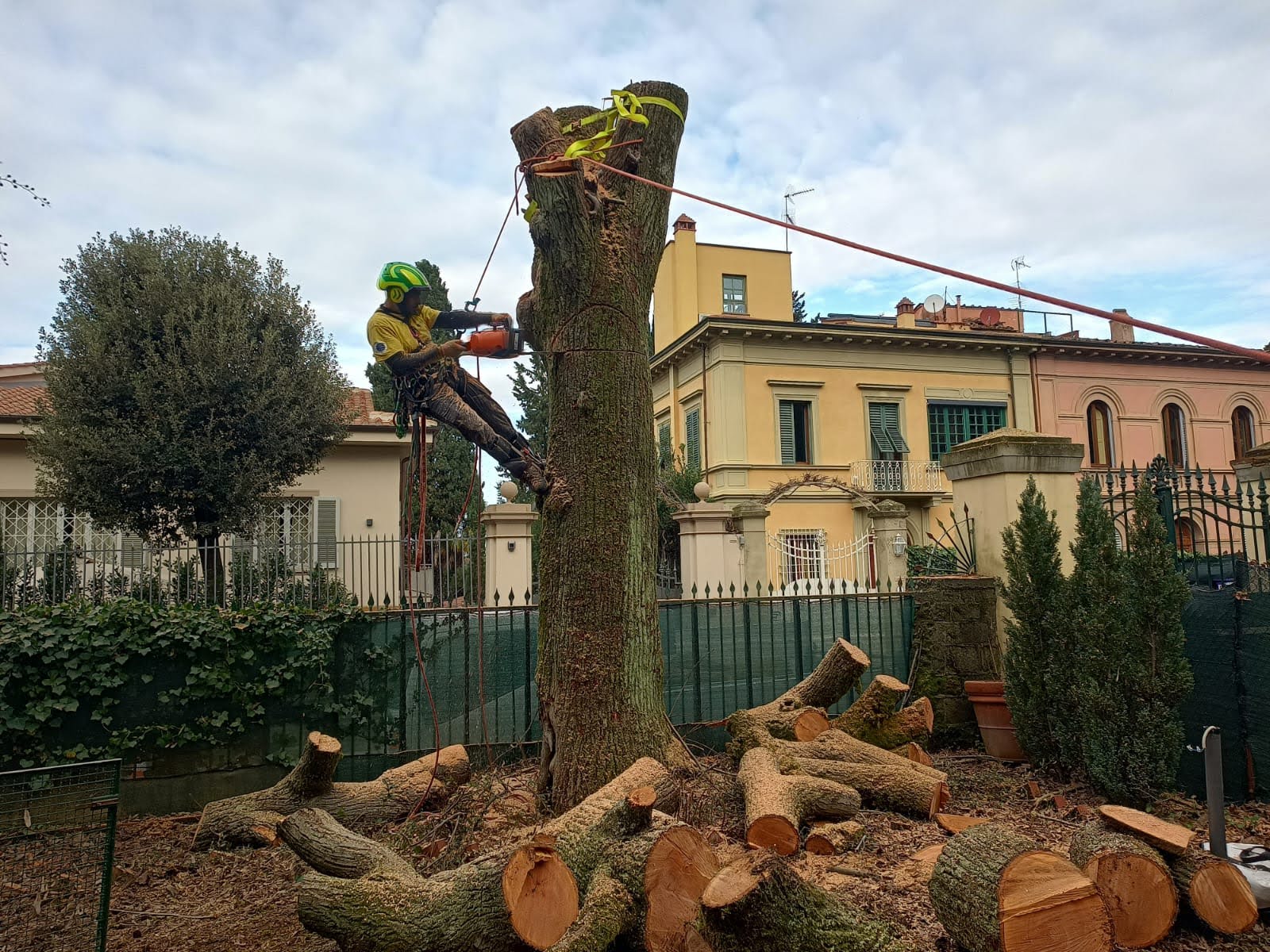 Abbattimento Alberi - Potatura Alberi Firenze Abbattimento Alberi - Potatura Alberi Firenze